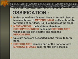 7-Bone & Bone Formation.ppt