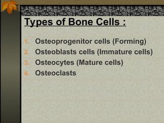7-Bone & Bone Formation.ppt