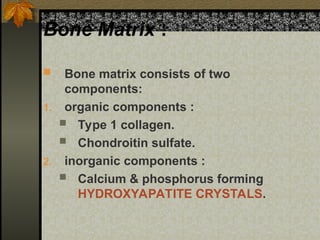 7-Bone & Bone Formation.ppt