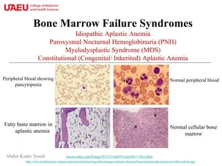 Bone marrow failure syndromes.ppt