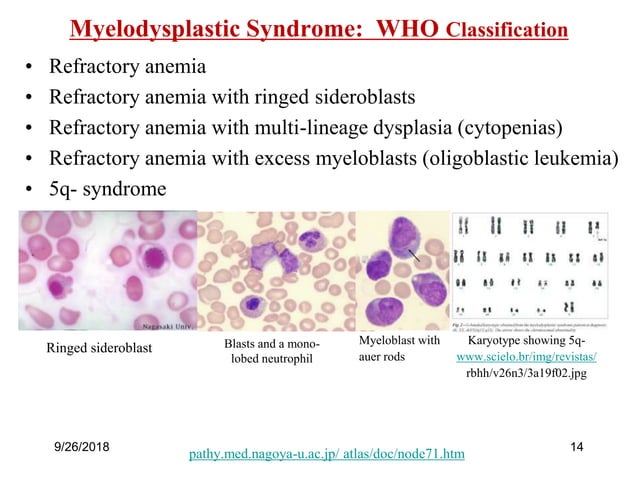 Bone marrow failure syndromes.ppt