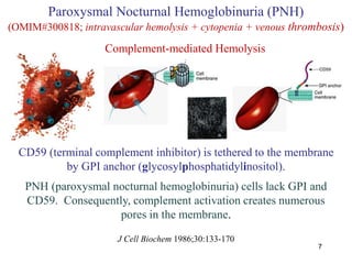 Bone marrow failure syndromes.ppt