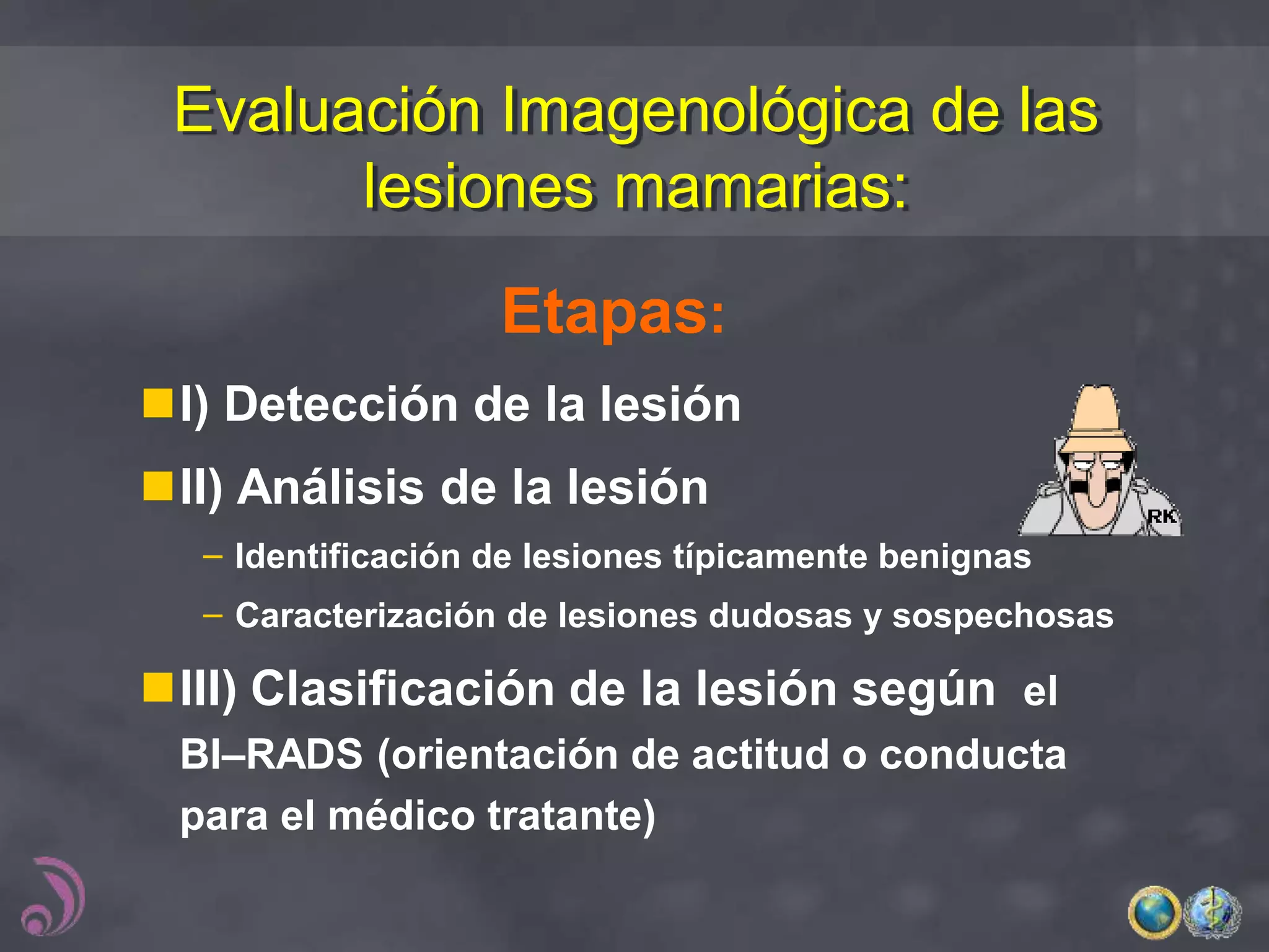 7 categorizacion practica-de_bi_rads_mysler | PPT