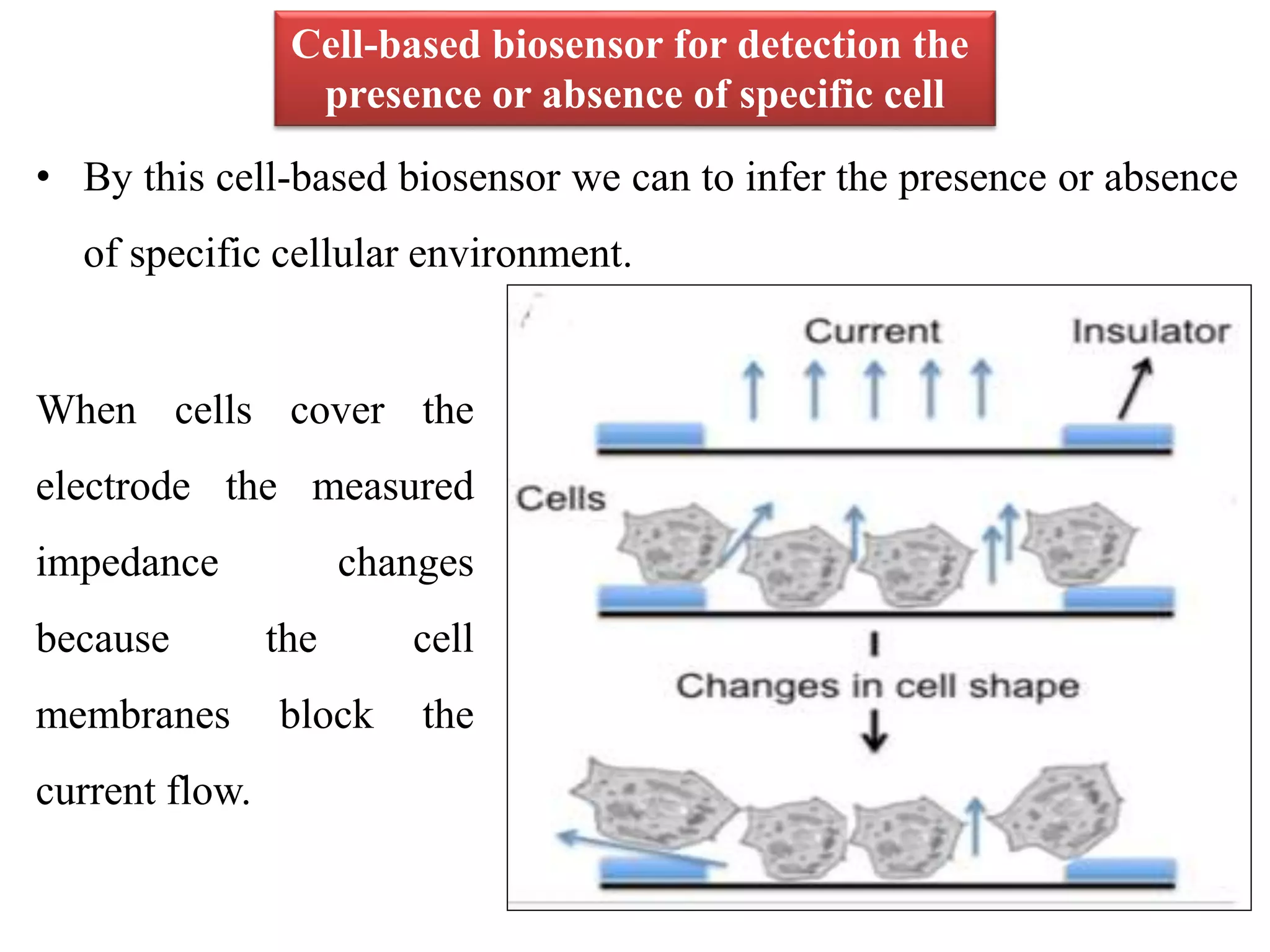 Cell Based Biosensor Lecture 7 Pptx Chemistry Science