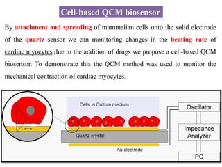 cell-based-biosensor-lecture-7 | PPTX | Chemistry | Science