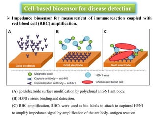 cell-based-biosensor-lecture-7 | PPTX | Chemistry | Science