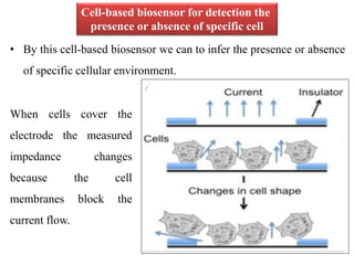 cell-based-biosensor-lecture-7 | PPTX | Chemistry | Science
