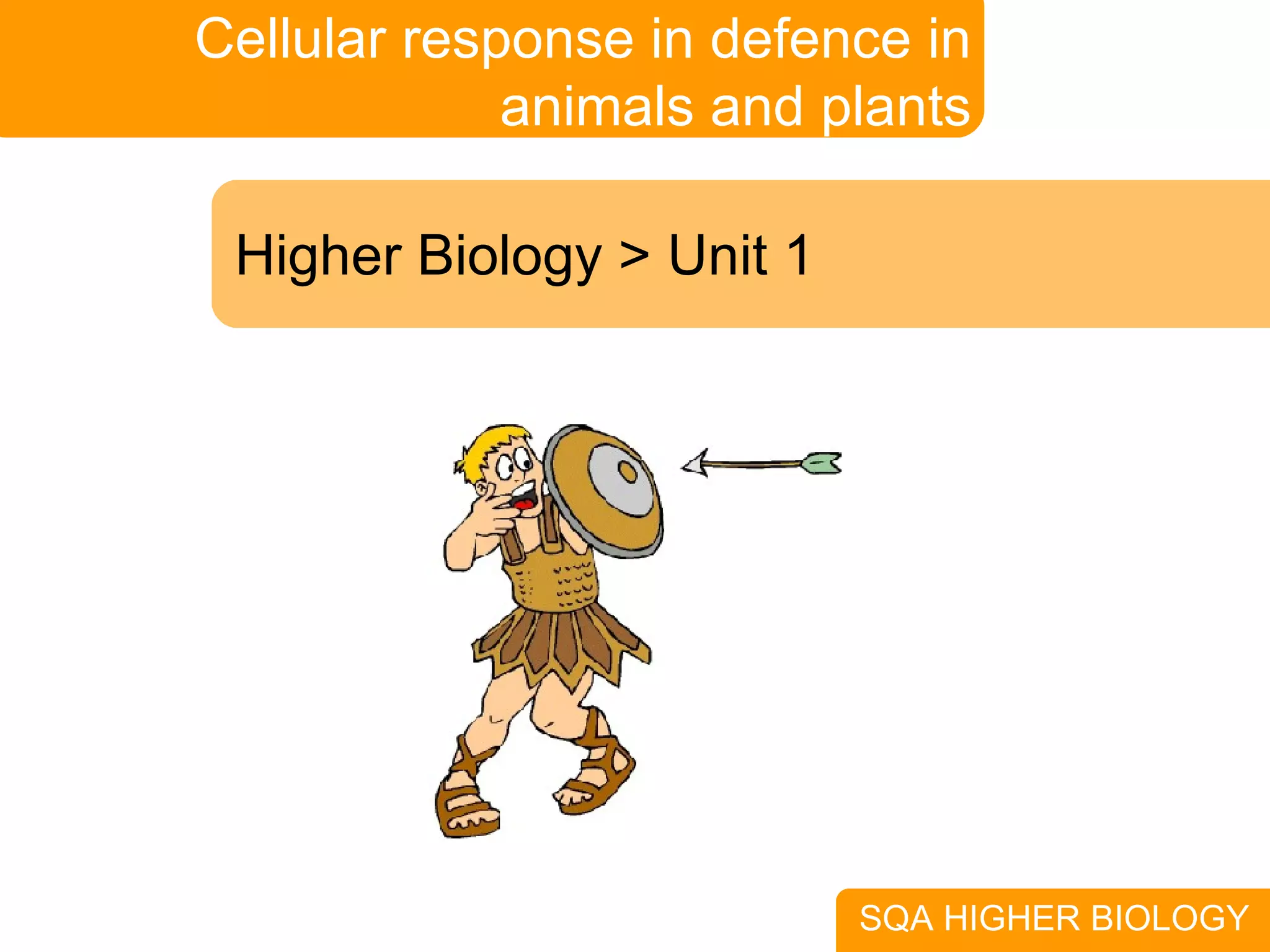 7. Cellular Response In Defence In Animals And Plants | PPT