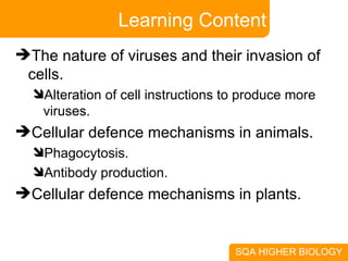 7. Cellular Response In Defence In Animals And Plants | PPT