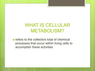 ZOO1- Cellular metabolism | PPTX