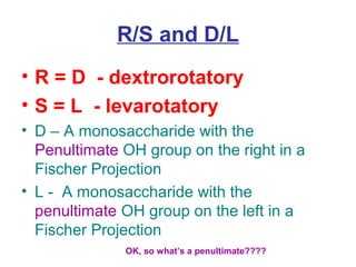 7 ch20 carbohydrates | PPT