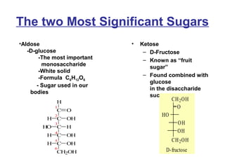 7 ch20 carbohydrates | PPT