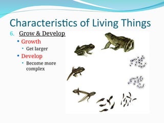 characteristics of all the living things.ppt