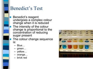 7-chemistry-of-carbohydrates.ppt