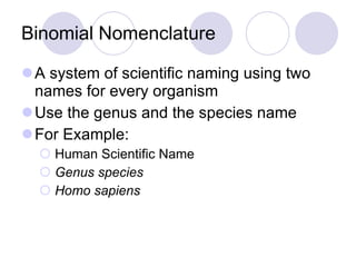 7. Classification Notes | PPT