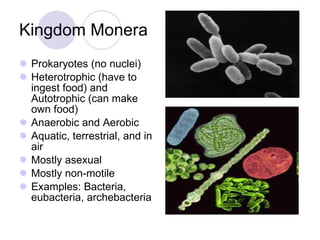 7. Classification Notes | PPT