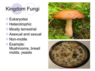 7. Classification Notes | PPT