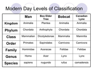 7. Classification Notes | PPT