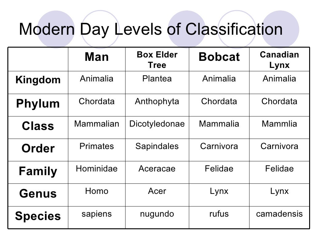 7. Classification Notes