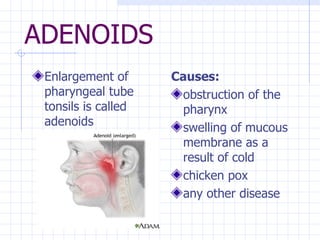 7. common diseases in children | PPT | Ear, Nose and Throat Conditions ...