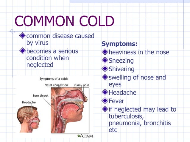 7. common diseases in children | PPT | Ear, Nose and Throat Conditions ...
