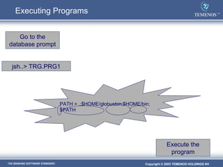 7.Compiling And Cataloguing Routines | PPT