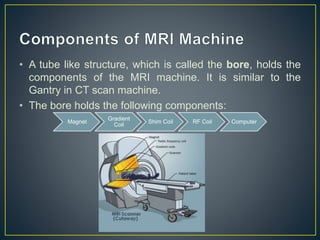 Mri Machine Diagram