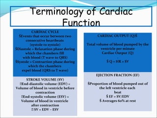 CV CONTROL DURING EXERCISE | PPT