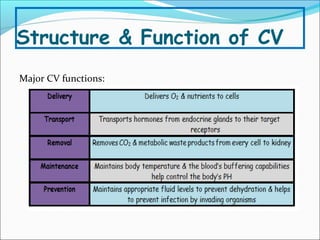 CV CONTROL DURING EXERCISE | PPT
