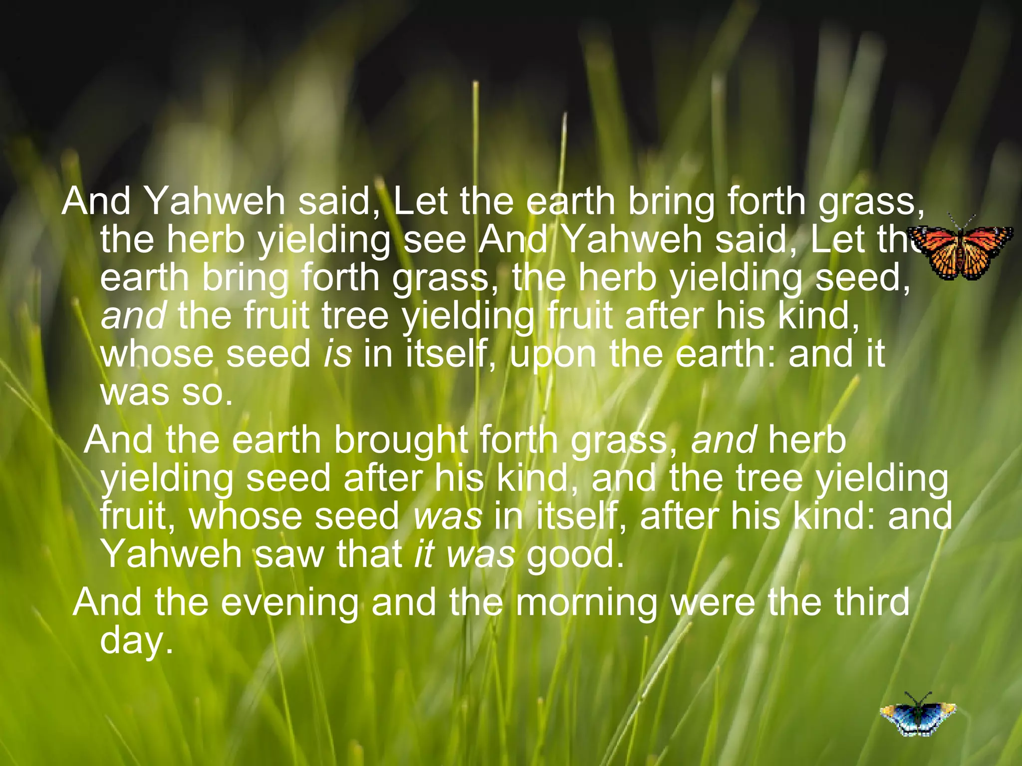 7 days of creation | PPT