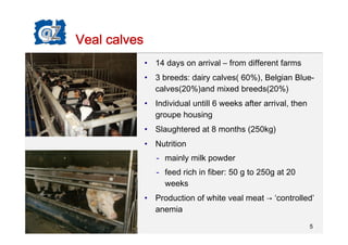 7.dealing with brd in flemish veal calf production | PDF