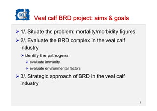 7.dealing with brd in flemish veal calf production | PDF