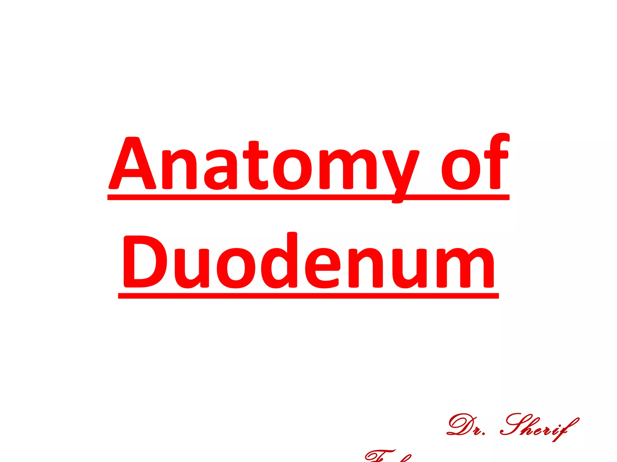 Development of Duodenum (Special Embryology) | PPS