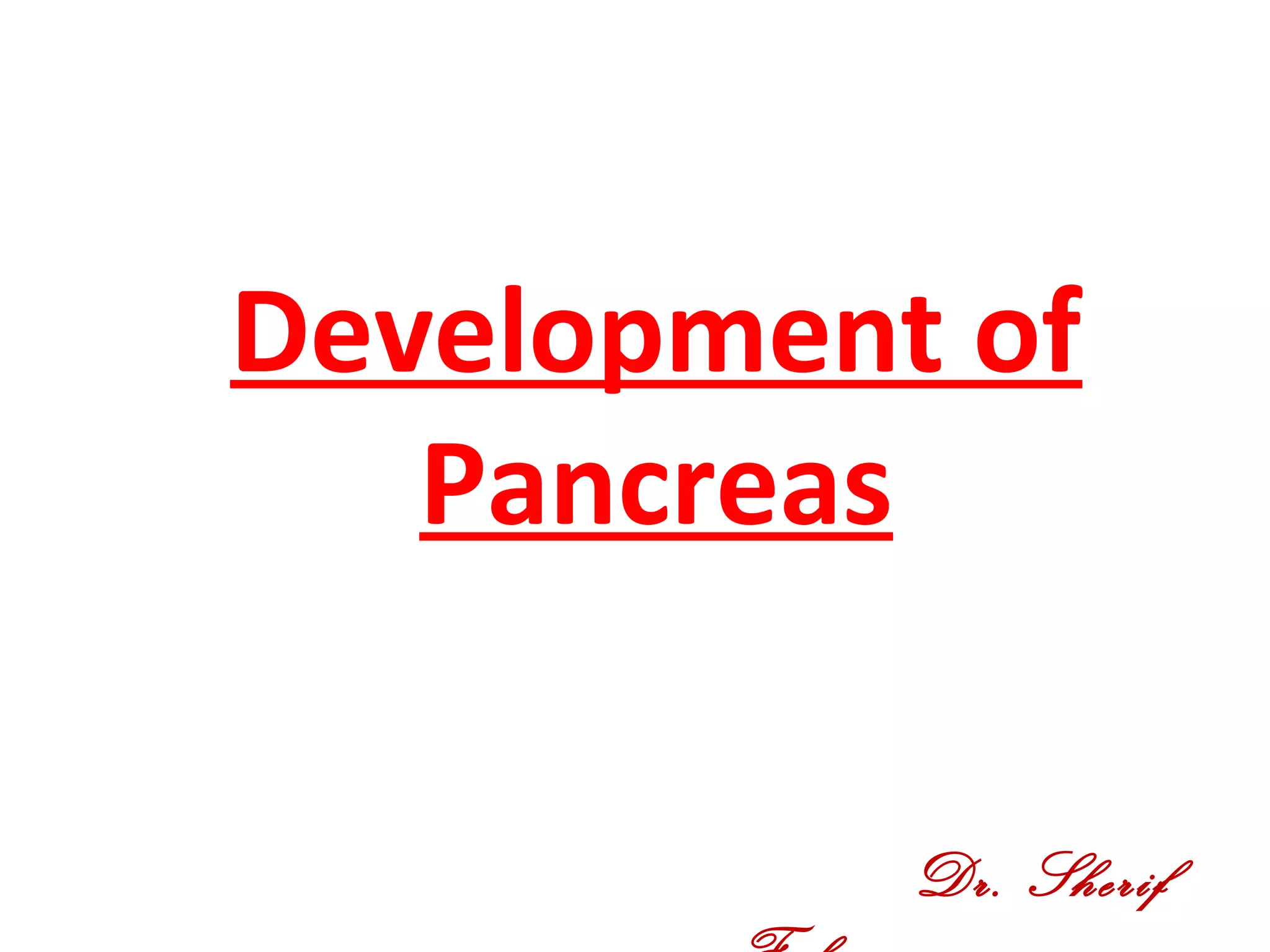 Development of Duodenum (Special Embryology) | PPS