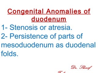 Development of Duodenum (Special Embryology) | PPS