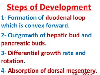 Development of Duodenum (Special Embryology) | PPS