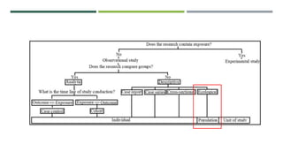 ECOLOGICAL STUDY | PPTX