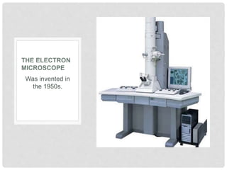 Electron Microscopy | PPTX