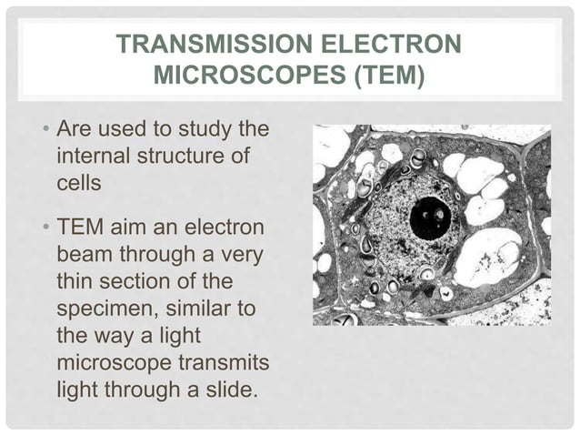 Electron Microscopy | PPTX