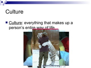 7 Elements Of Culture | PPT