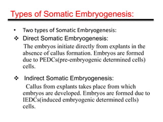 7- Embryogenesis.pptx