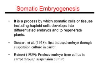 7- Embryogenesis.pptx