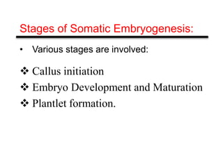 7- Embryogenesis.pptx