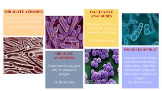 ENDODONTIC MICROBIOLOGY OF ROOT CANAL .pptx