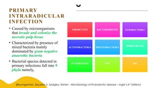ENDODONTIC MICROBIOLOGY OF ROOT CANAL .pptx