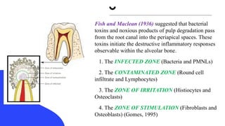 ENDODONTIC MICROBIOLOGY OF ROOT CANAL .pptx