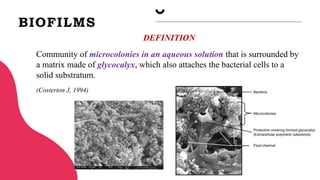 ENDODONTIC MICROBIOLOGY OF ROOT CANAL .pptx
