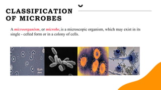 ENDODONTIC MICROBIOLOGY OF ROOT CANAL .pptx
