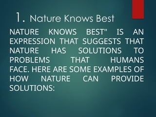 7-environmental-principles.pptxbdhdhswjwuwu | PPTX