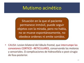 7 Fisiopatologia del estado de coma. | PPTX